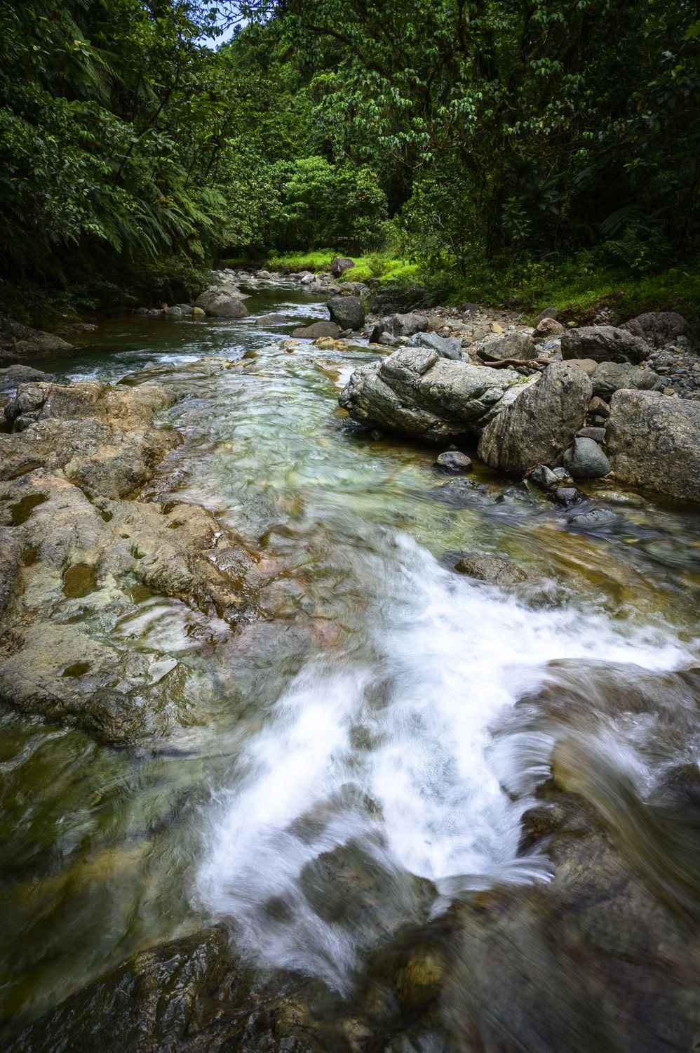 The Source | Artesian Water from Fiji | Pristine Rainforest in Namosi ...